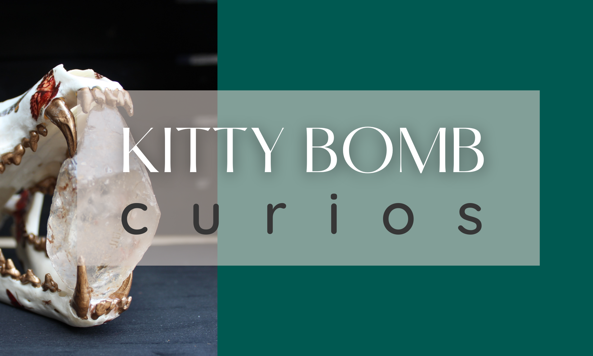 Kitty Bomb Curios