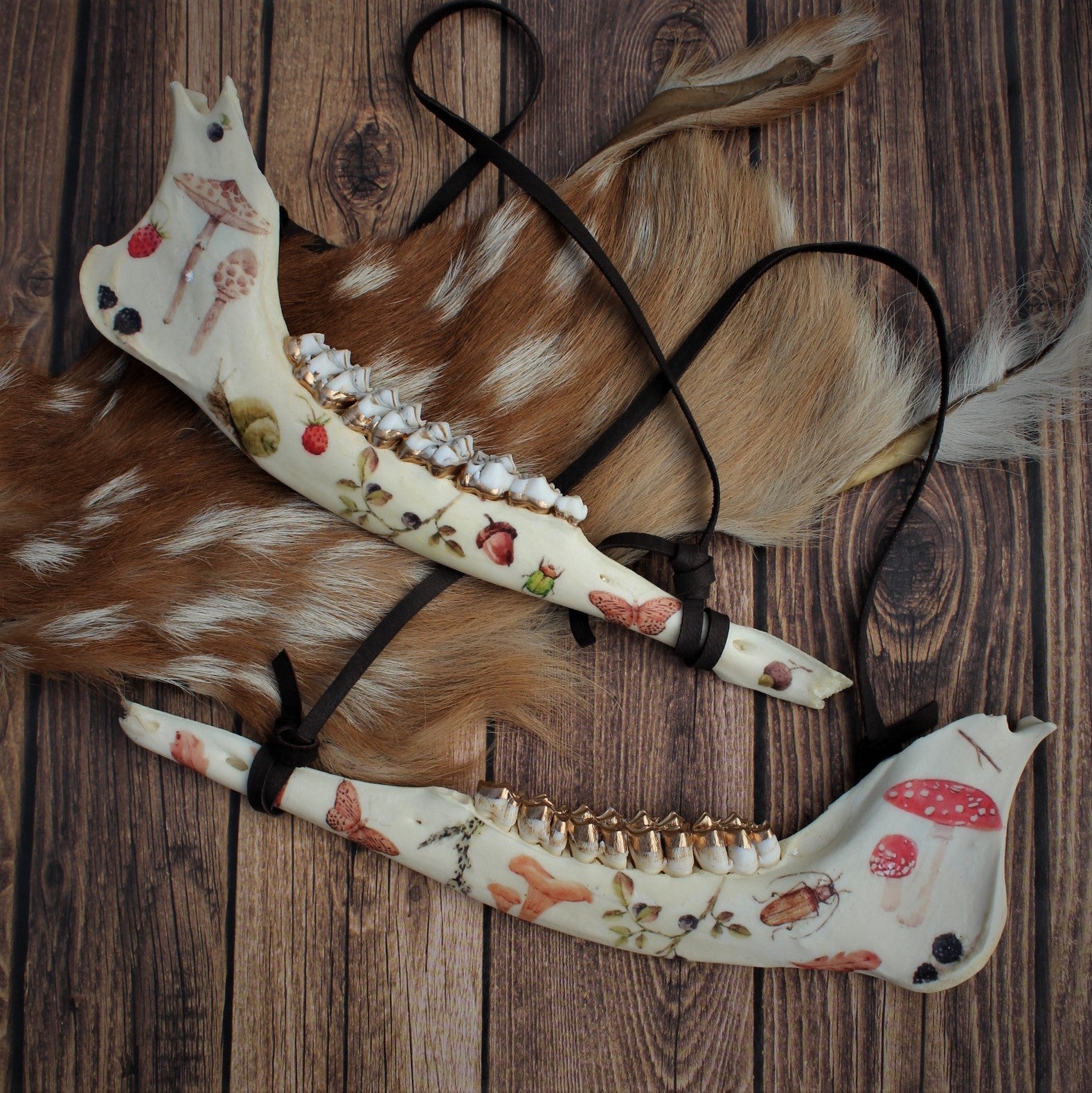 Cottage Core Deer Jawbones – Kitty Bomb Curios